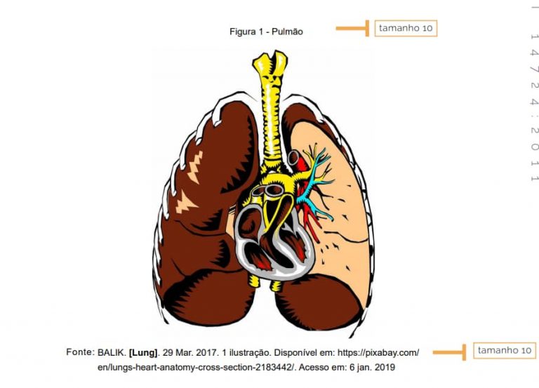 Figura ABNT - Como referenciar figuras de acordo com a ABNT